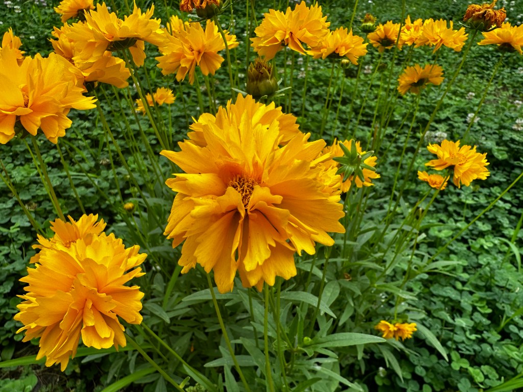 IMAC Lab – Intelligent Media Analysis and Computation Lab