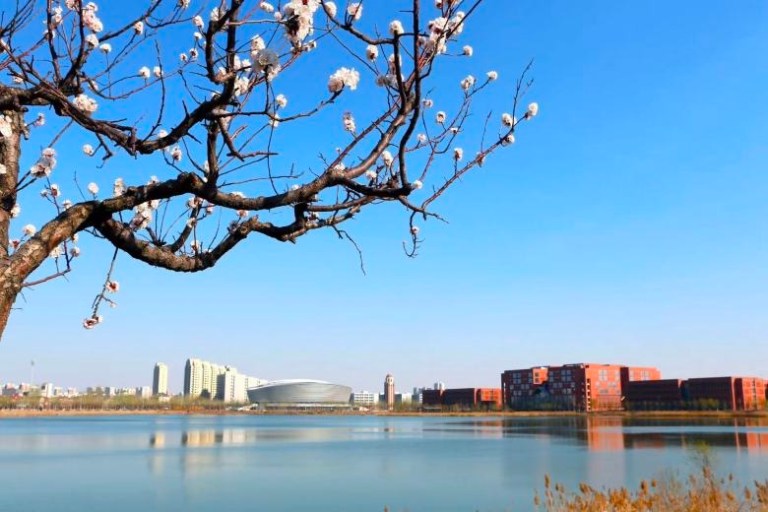 IMAC Lab – Intelligent Media Analysis and Computation Lab